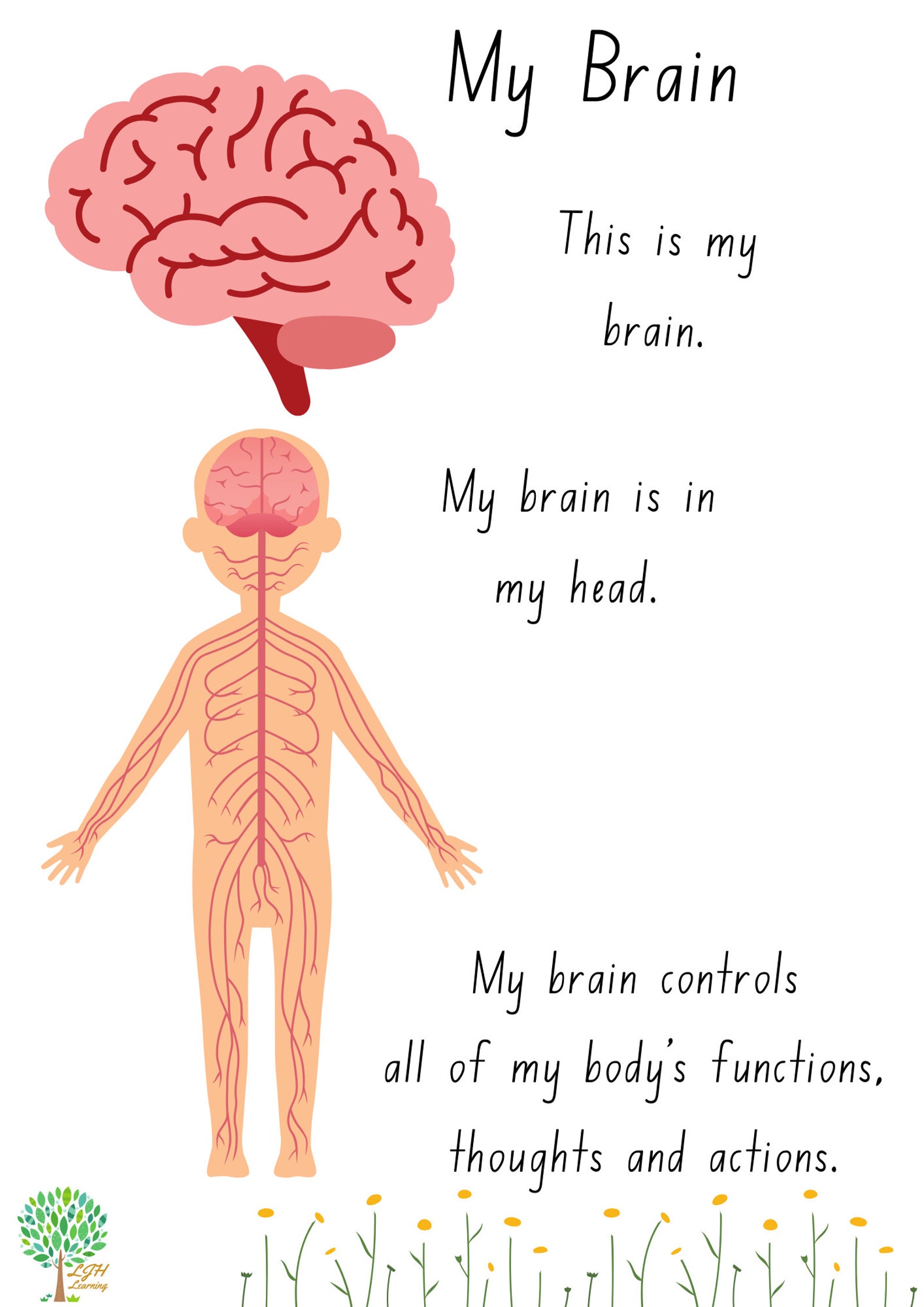 Brain Strong - Emotional Regulation for Children - Etsy