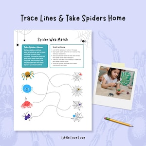 Spiders Activity Worksheets for Kids | Fun Facts Learning, Spider ...