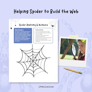 Spider Fun Facts Activities for Kids Printable Animals Coloring ...