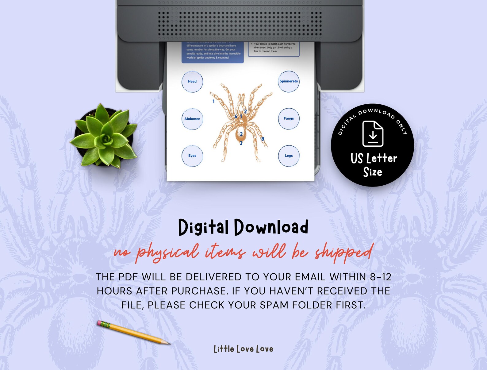 Spider Fun Facts Activities for Kids Printable Animals Coloring ...