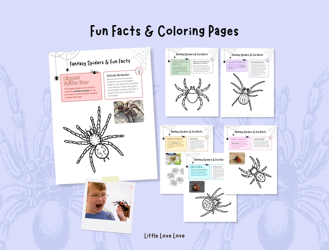 Spider Fun Facts Activities for Kids Printable Animals Coloring Worksheets for Preschool and ...