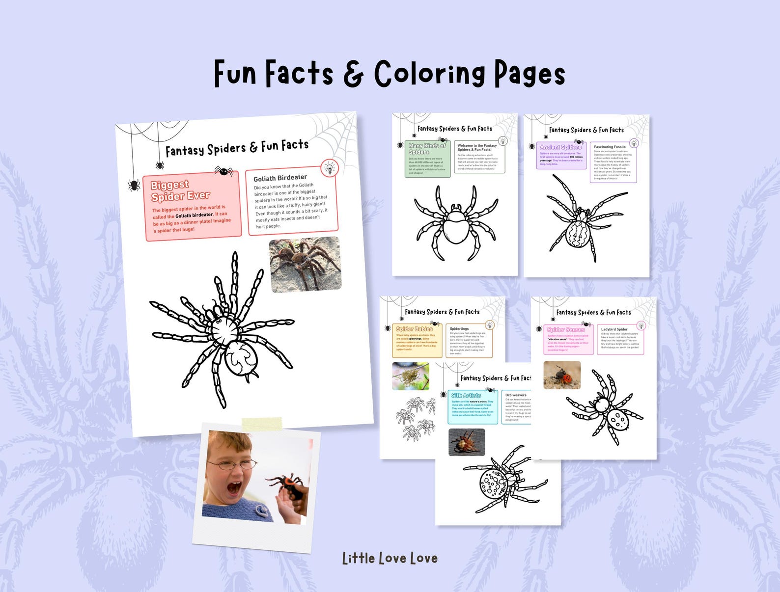 Spiders Activity Worksheets for Kids | Fun Facts Learning, Spider ...