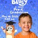 Bluey Grad Announcement - Etsy