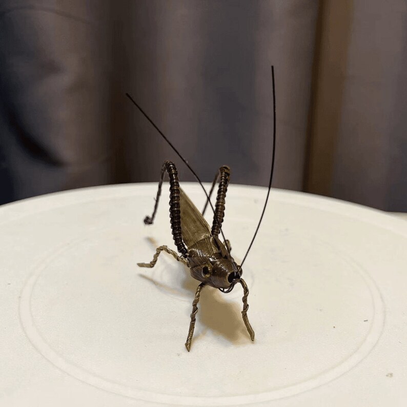 Handmade Straw Grasshopper Unique Eco-friendly Children's Toy - Etsy