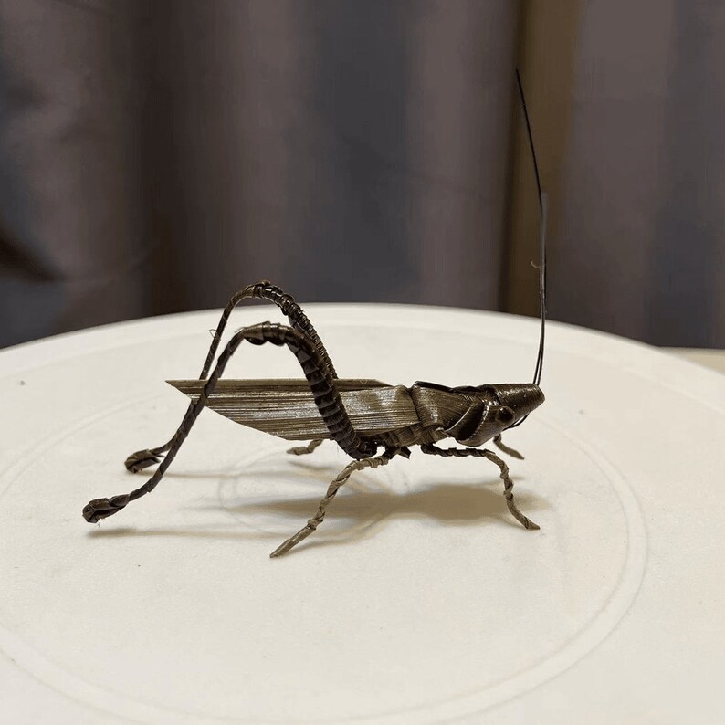 Handmade Straw Grasshopper Unique Eco-friendly Children's Toy - Etsy