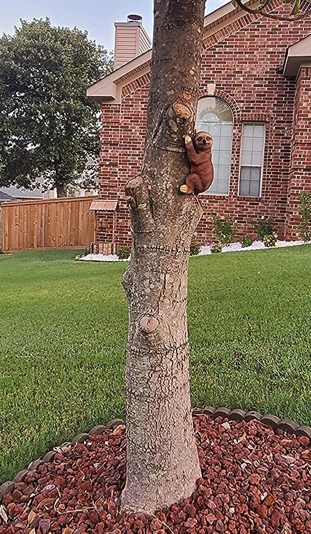 Garden Sloth Tree Hugger and Peeker Sculpture Outdoor Decor Statue for ...