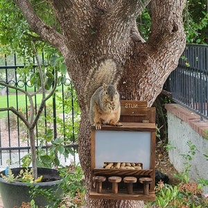 Durable Wooden Chipmunk House Box for Corn or Peanuts Large Squirrel ...