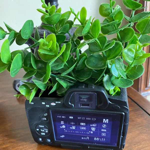 Decorative Plant Pots - Etsy