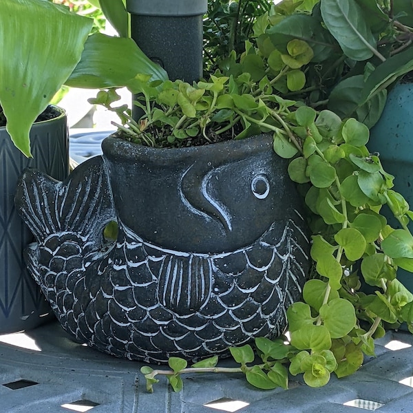 Large Fish Pot Planters - Etsy