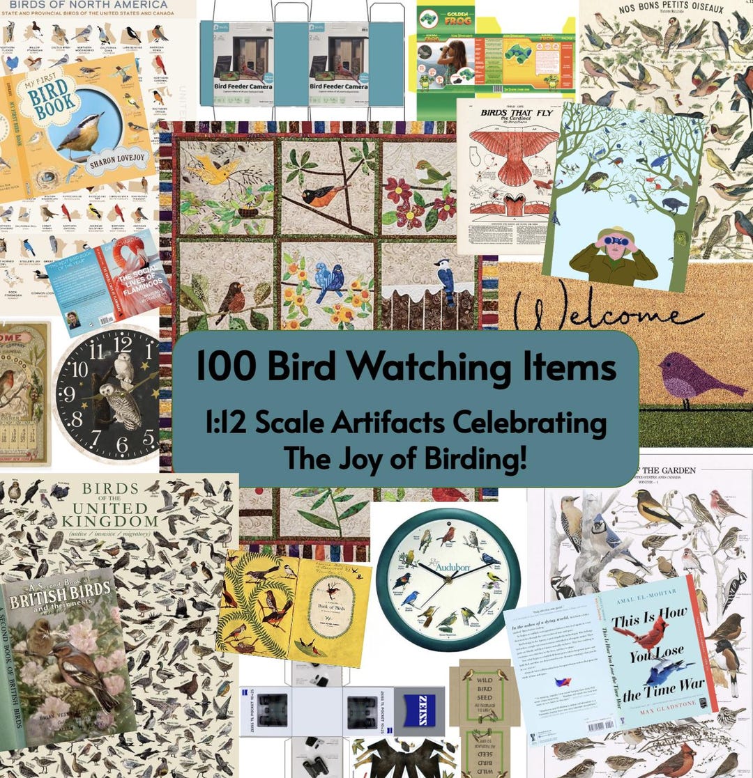 Bird Watching Room Box Kit- 100 Miniature Birding Printables, 1:12 ...