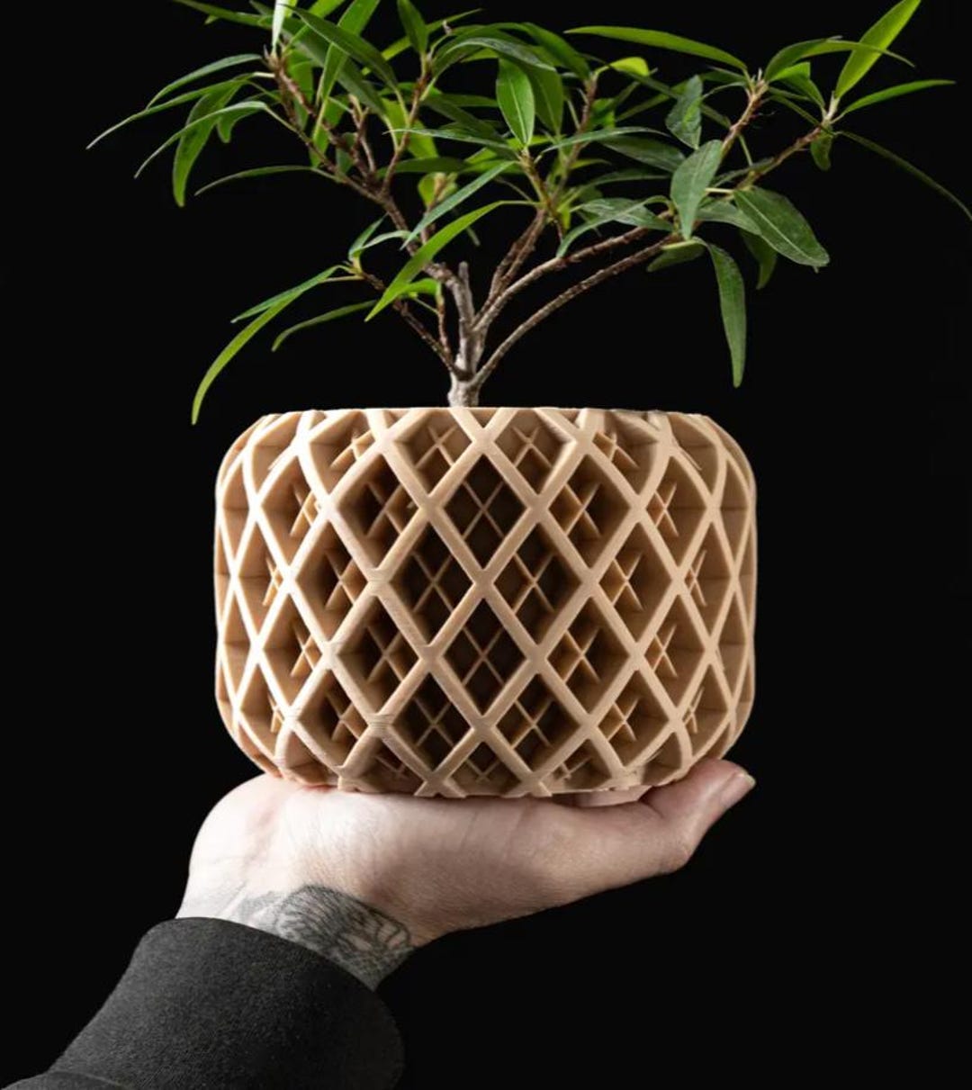 The Bruce Planter | Modern and Unique Home Decor for Plants and ...