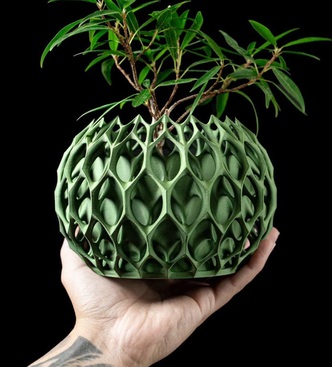 The Talon Planter | Modern and Unique Home Decor for Plants and ...