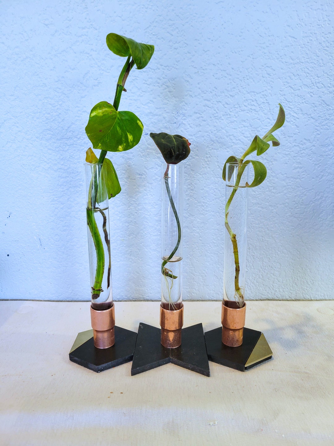 Geometric Triple Propagation Station - Etsy
