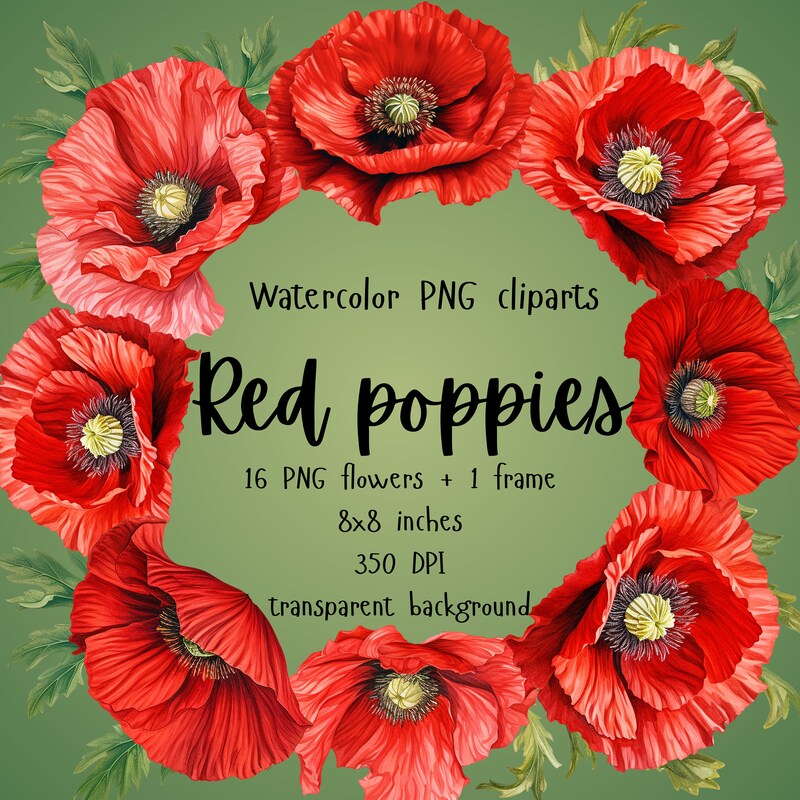 Poppies Clip Art - Etsy