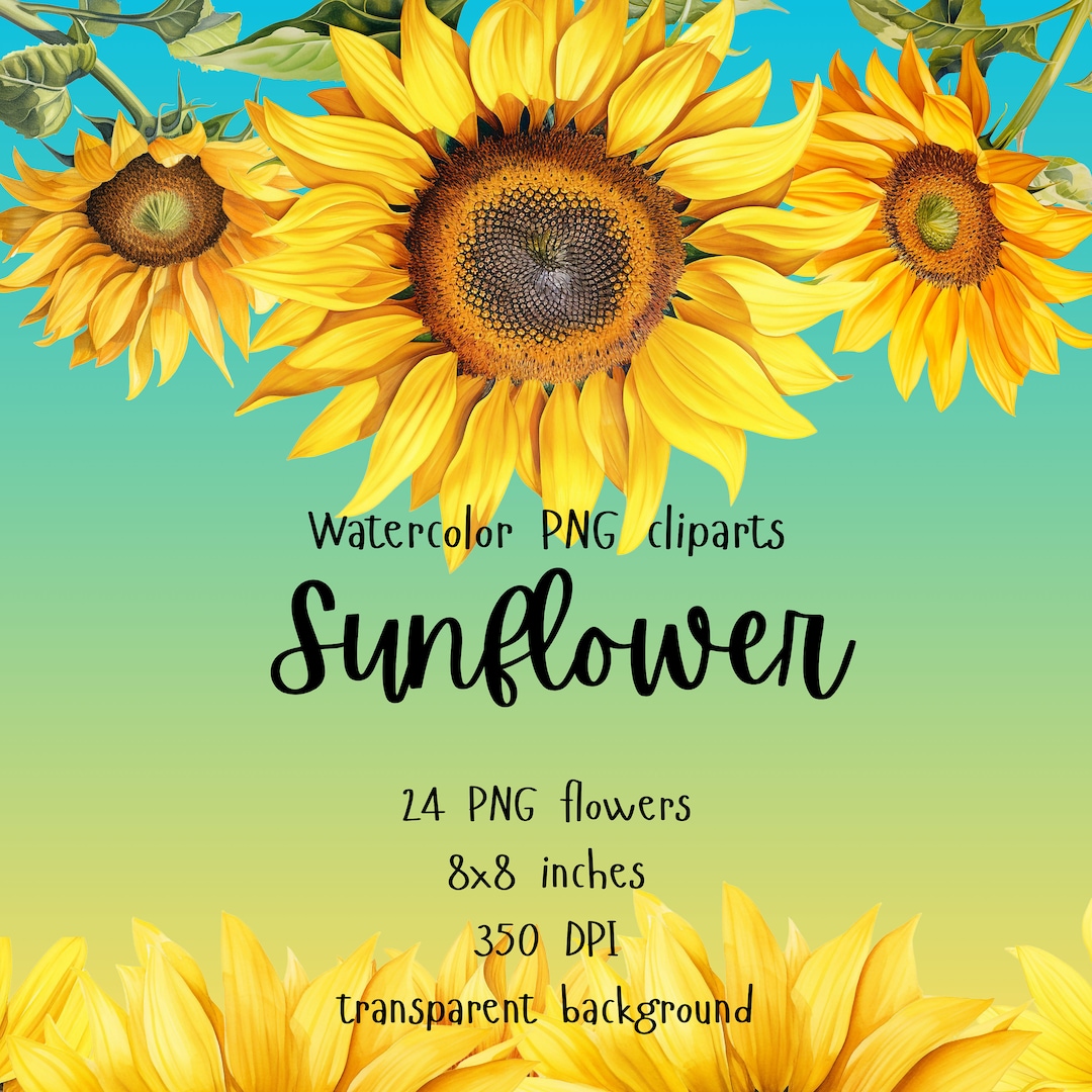 Watercolor Sunflower Clipart, Yellow Floral Clipart, Sunflower Clip Art ...