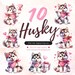 Valentine Husky Clipart Bundle PNG Love Valentine PNG for Card Making ...