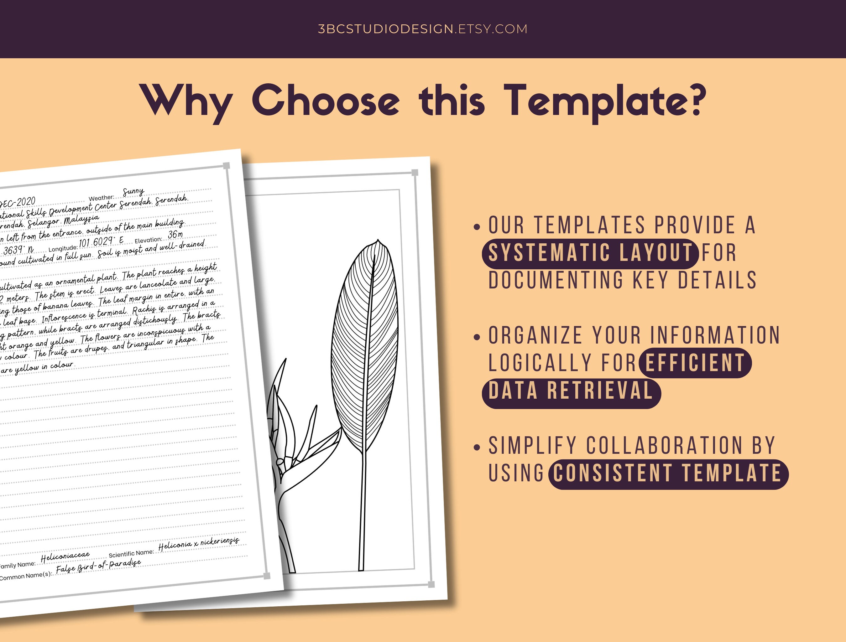 Specimen Field Note Digital Template, Grinnell Field Notes, Grinnell ...