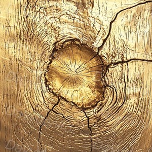 Gold Tree Texture Printable Set of 3 Posters Tree Trunk Wall Art in ...