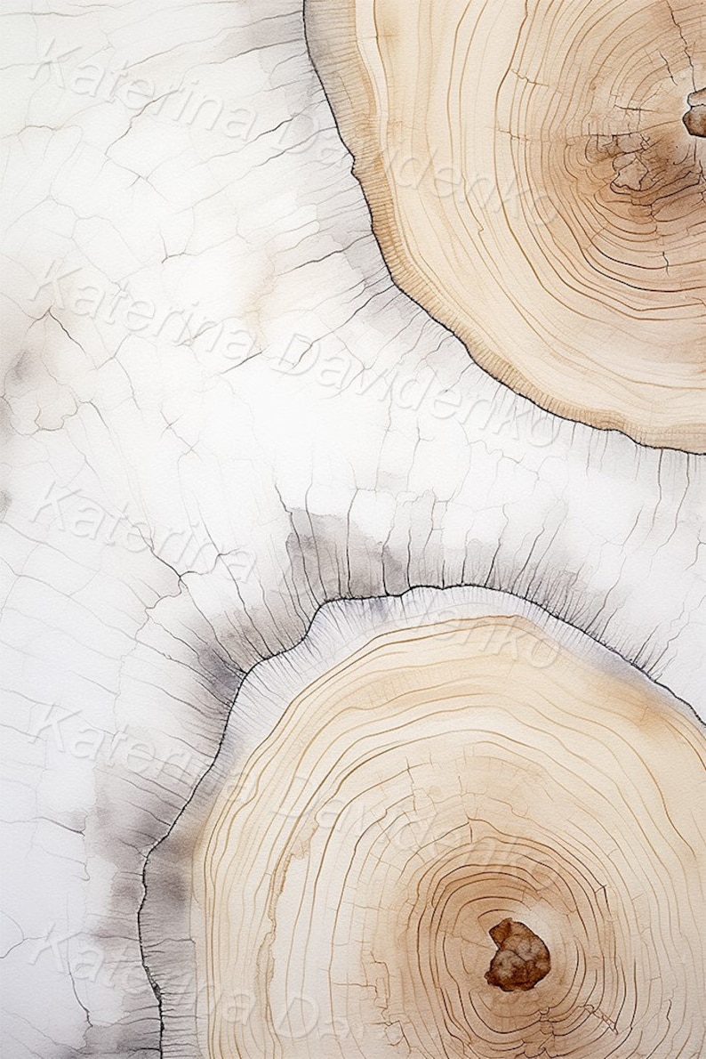 Beige Tree Ring Prints Set of 3 Posters Wood Slice Prints Tree Ring Art ...
