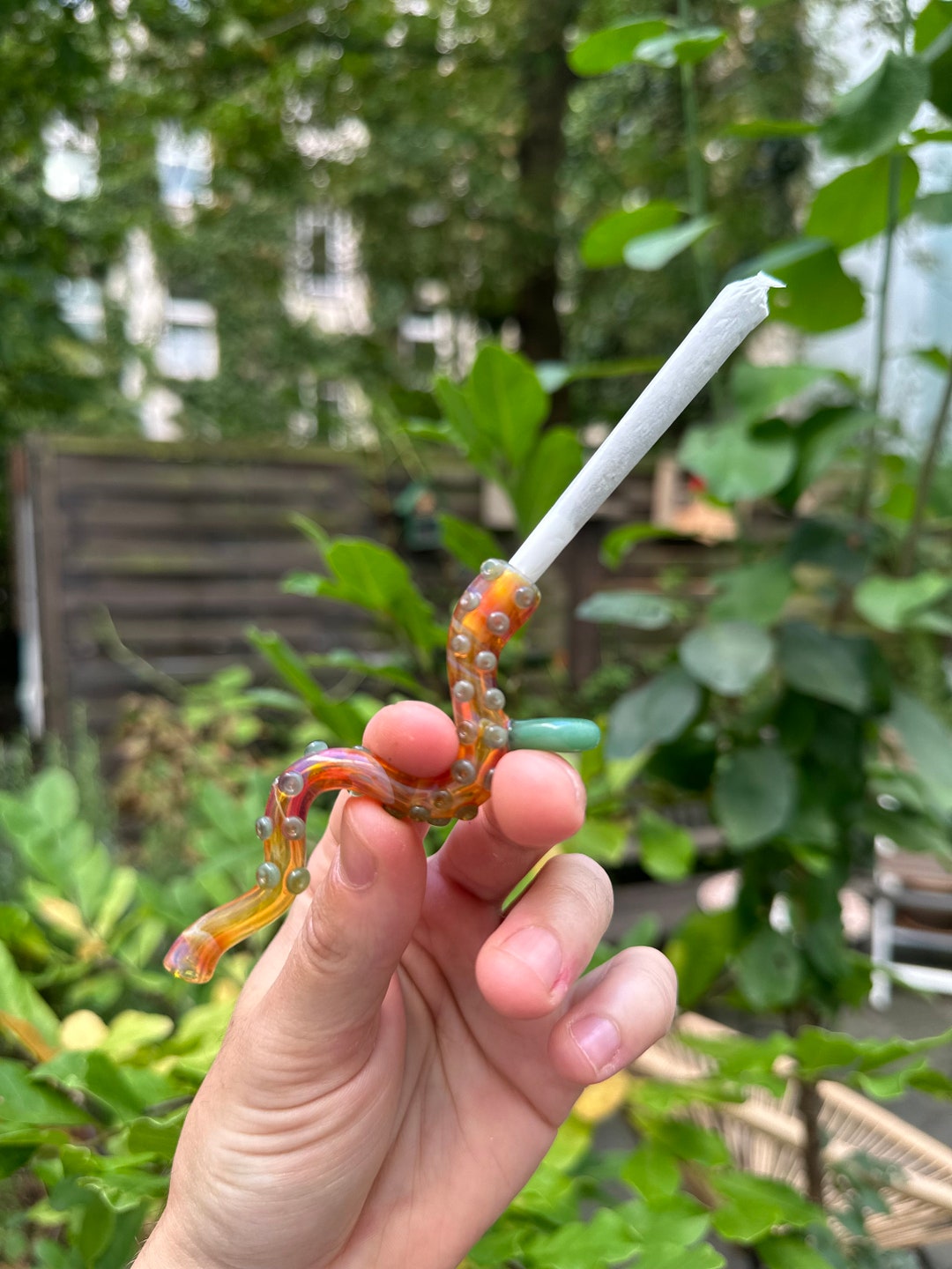 Glass Cigarette Holder Cigarette Holder Smoking Accessoires Gifts for ...