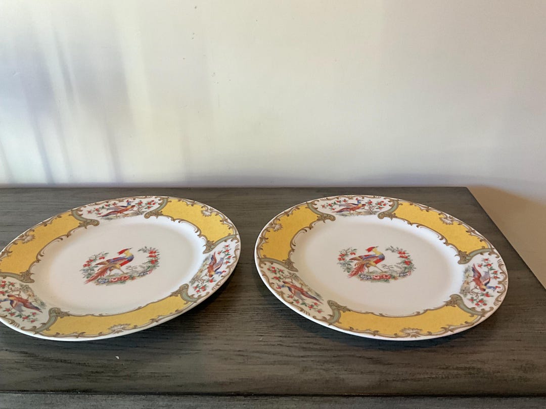 Rare Vintage Chelsea Plate Set of Two by Andrea Sadek Preservation ...