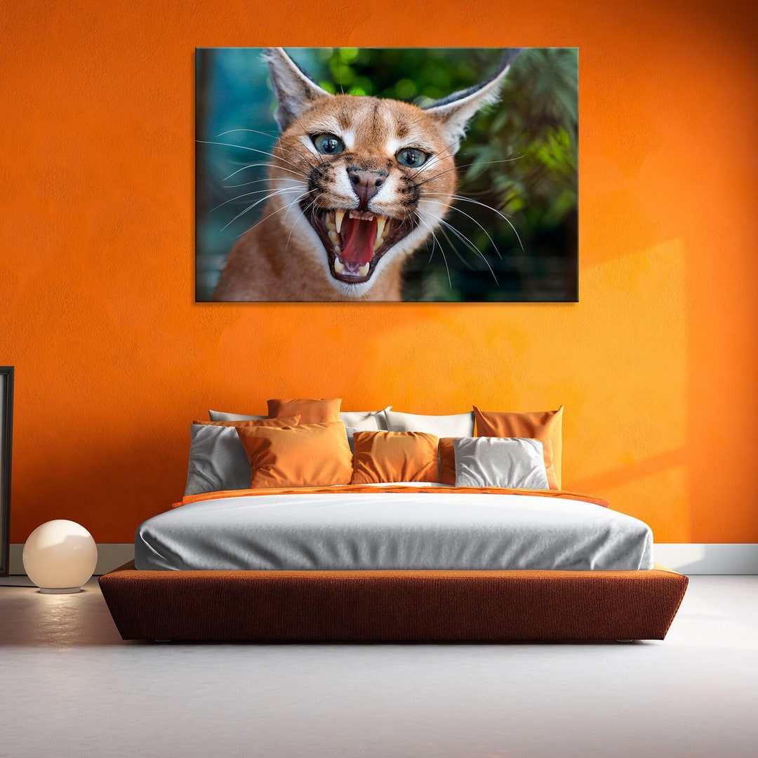 Caracal Canvas Print - Etsy