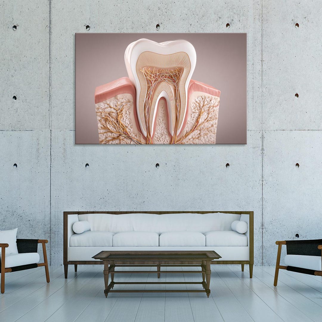 Artistic Tooth Anatomy Wall Art | Modern Dental Clinic Decor | Medical ...