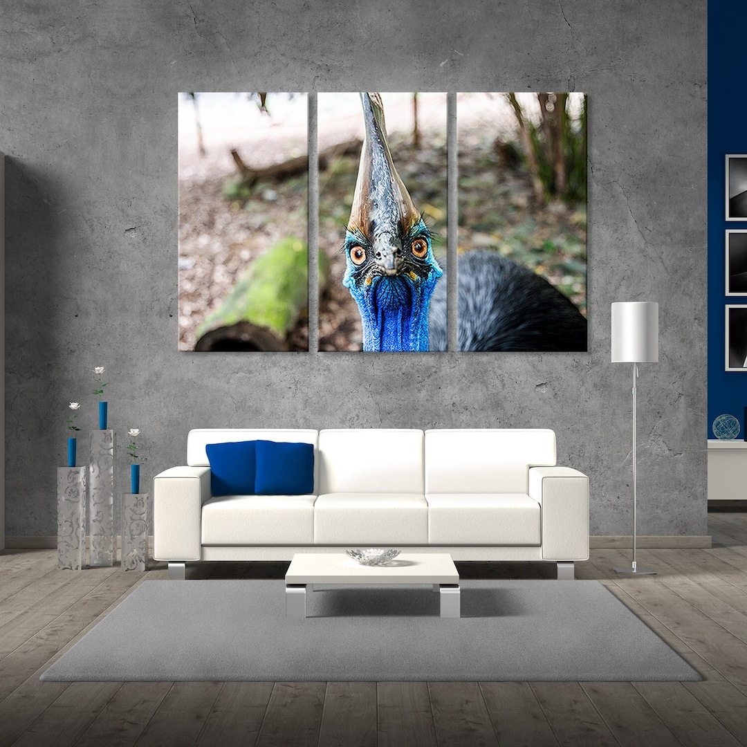 Cassowary Canvas Print - Etsy