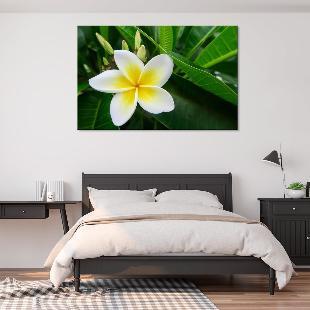 Frangipani Canvas Print - Etsy