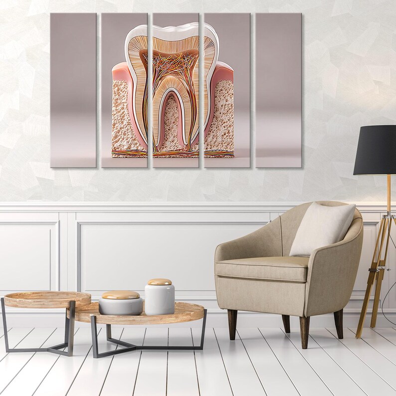 Tooth Anatomy Diagram Art | Dental Educational Wall Decor | Dentist ...