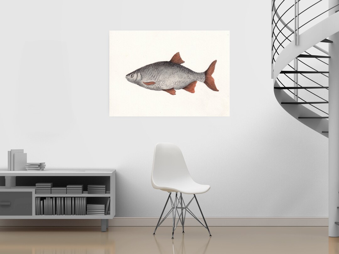 Hand Painted Roach Digital Print Fish Painting, Angler Gift Poster ...