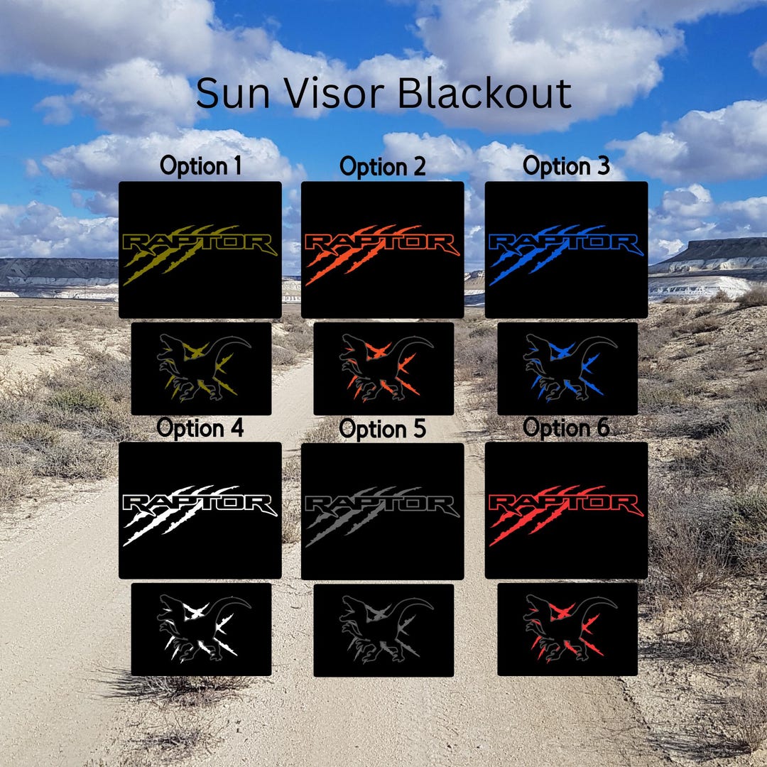 Ford F-150 Raptor Visor Warning Delete Stickers – Full 3pc Blackout Kit ...