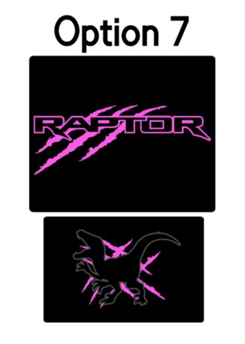 Ford F-150 Raptor Visor Warning Delete Stickers – Full 3pc Blackout Kit ...
