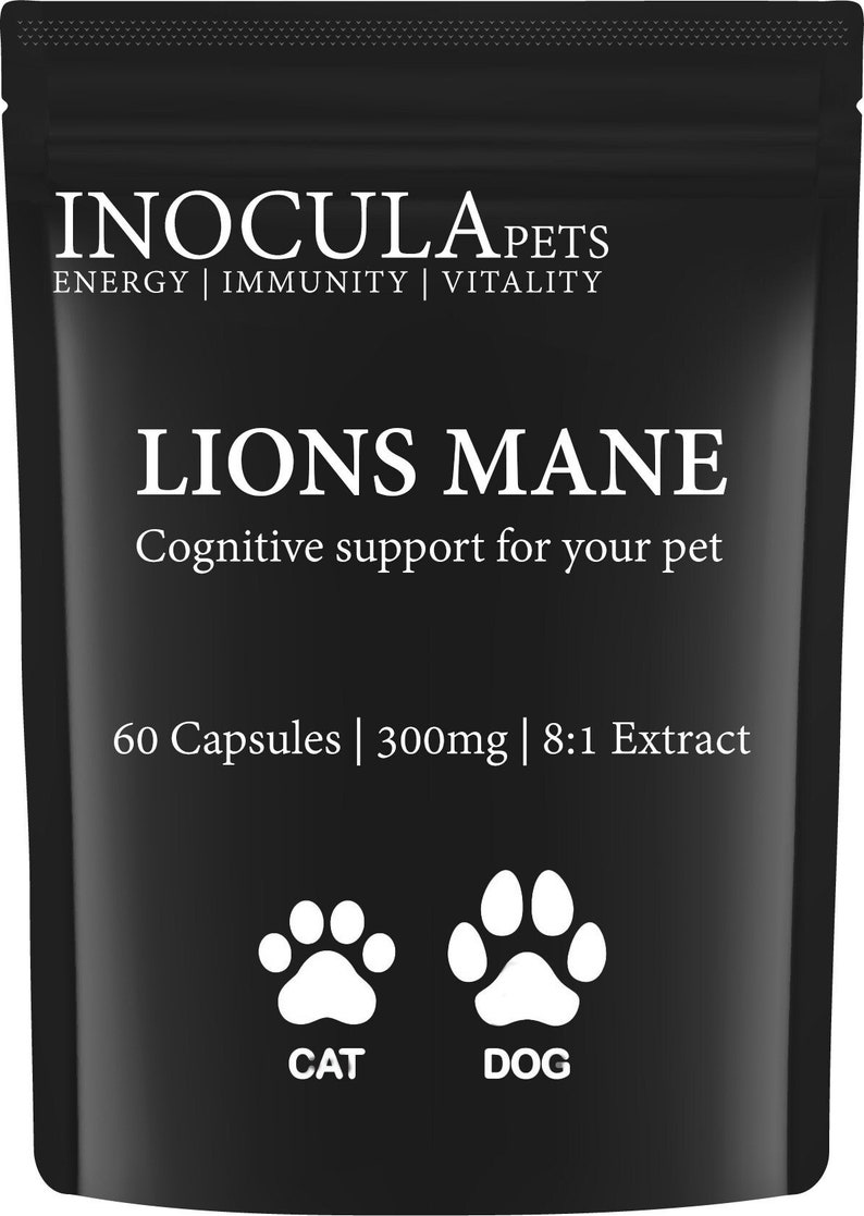 Lions Mane Mushroom Extract Capsules Dog & Cat. Lab Tested. Keeps Pets ...