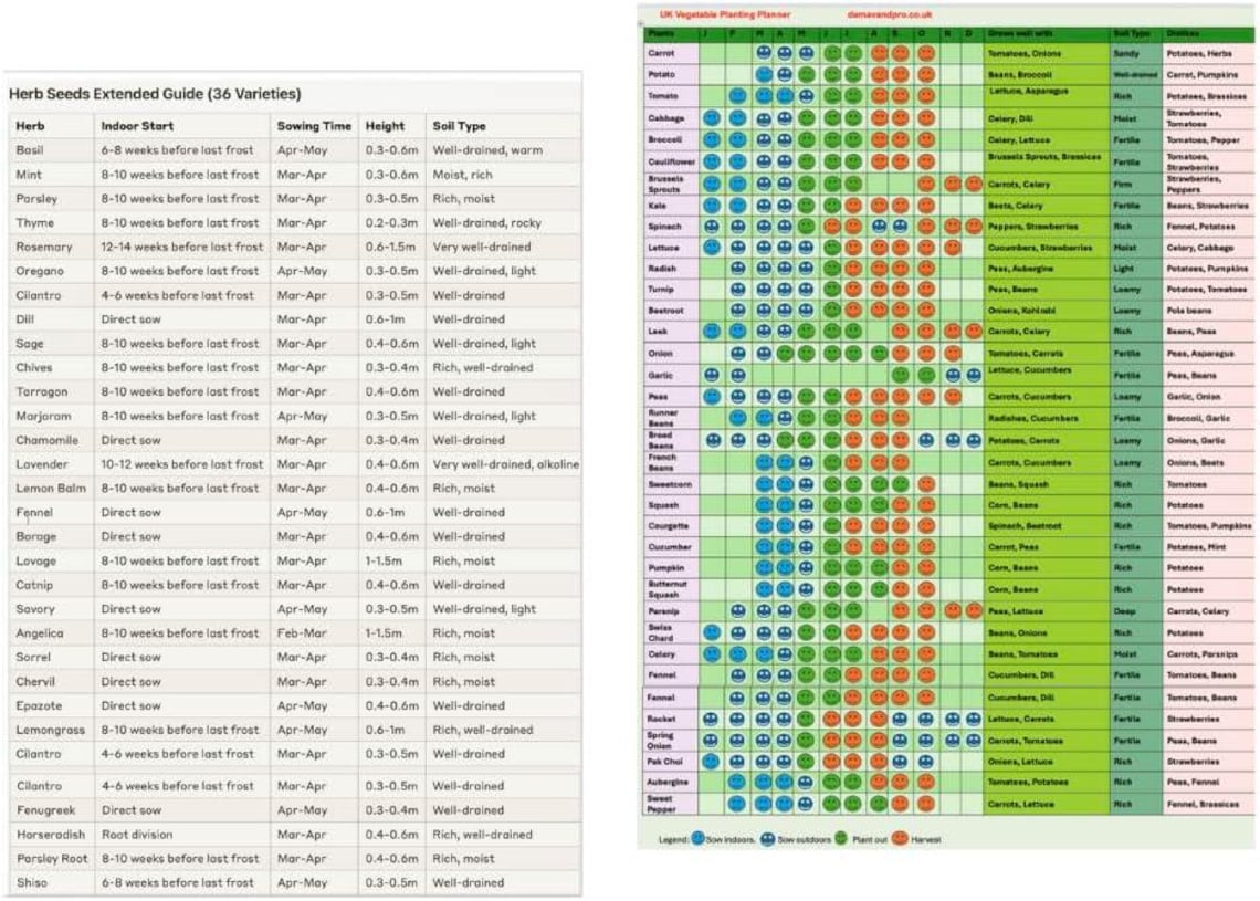 A3 Laminated Garden Planting Calendar Year-round Planner for 36 Herbs ...