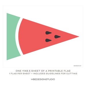 Printable Watermelon Party Flags: BBQ Photo Props (PDF) - Etsy Canada
