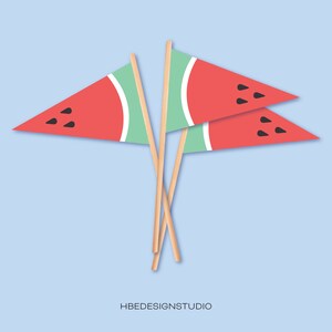 Printable Watermelon Party Flags: BBQ Photo Props (PDF) - Etsy Canada