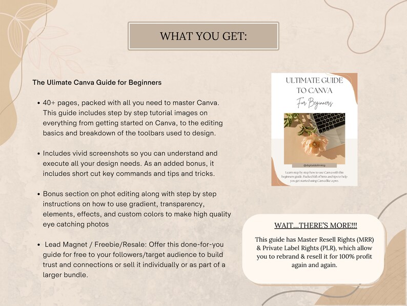 The Ultimate Guide to Canva for Beginners - Etsy