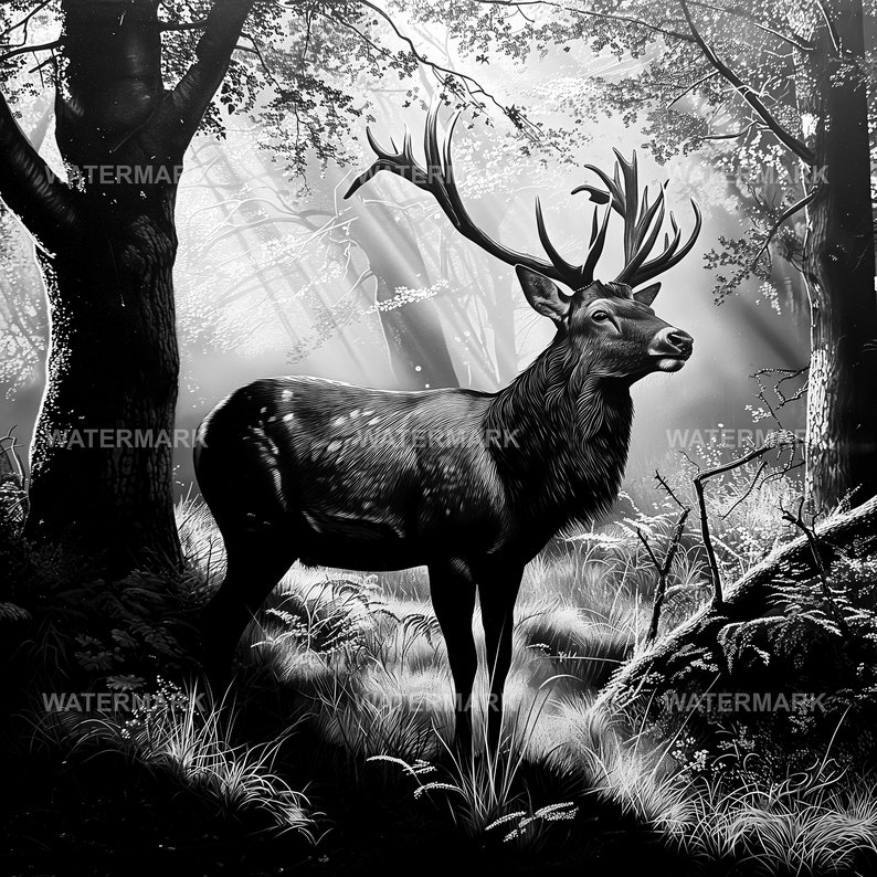 Stag in Moonlit Forest - Buck - Laser Engrave File, PNG for Engraving ...