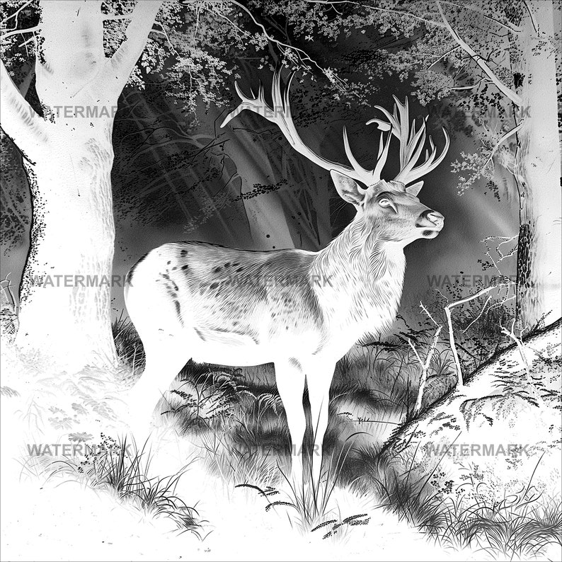 Stag in Moonlit Forest - Buck - Laser Engrave File, PNG for Engraving ...