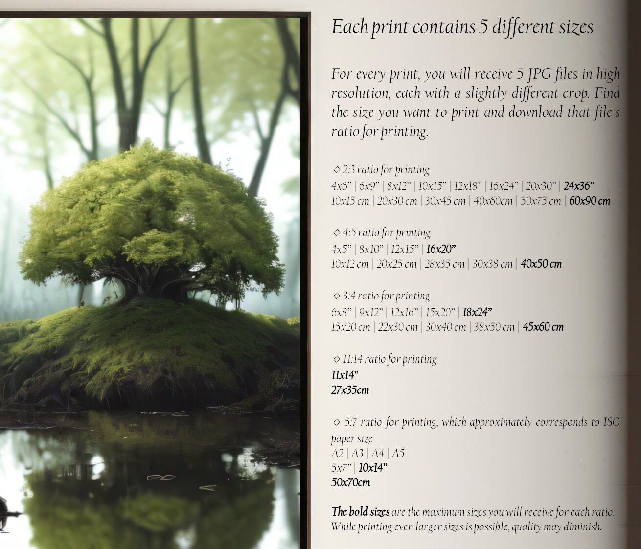 Moss Wall Art, Moss Art, Forest Art, Digital Wall Art, Moss Print, Moss ...