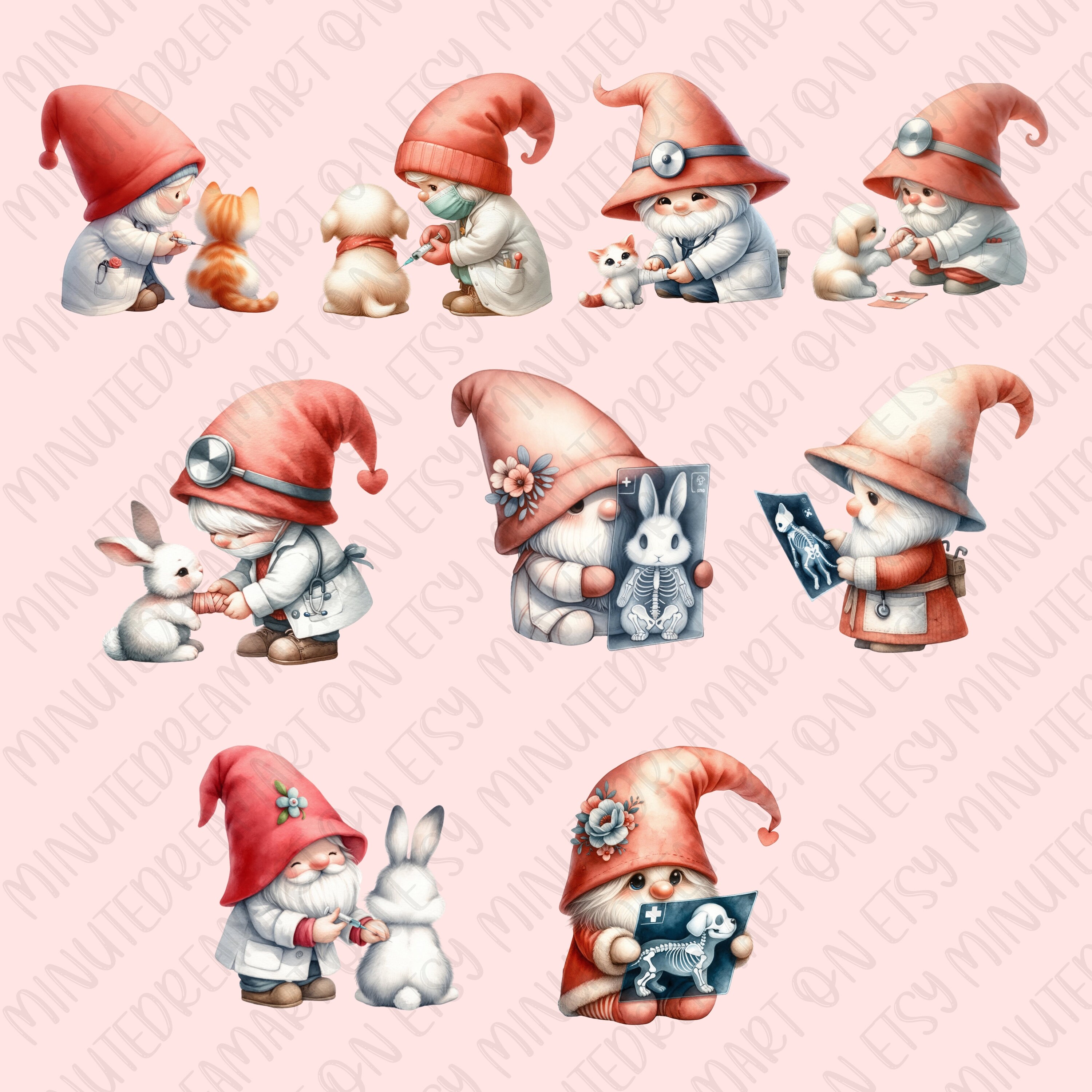 Doctor Gnome Clipart, Veterinarian Animal, Watercolor Sublimation ...