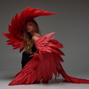 Red Wings and Tail Costume, Bird Wings Costume Cosplay, Big Bird Wings ...