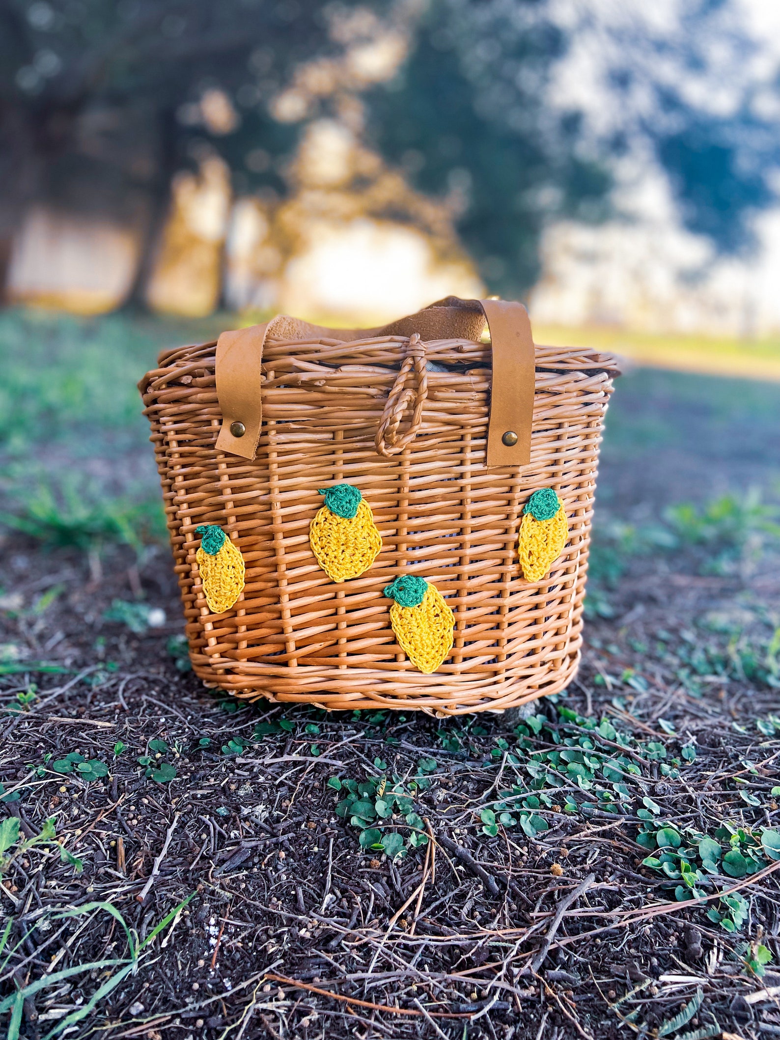 Cute Kids' Wicker Picnic Basket With Embroidered Design and Convenient ...