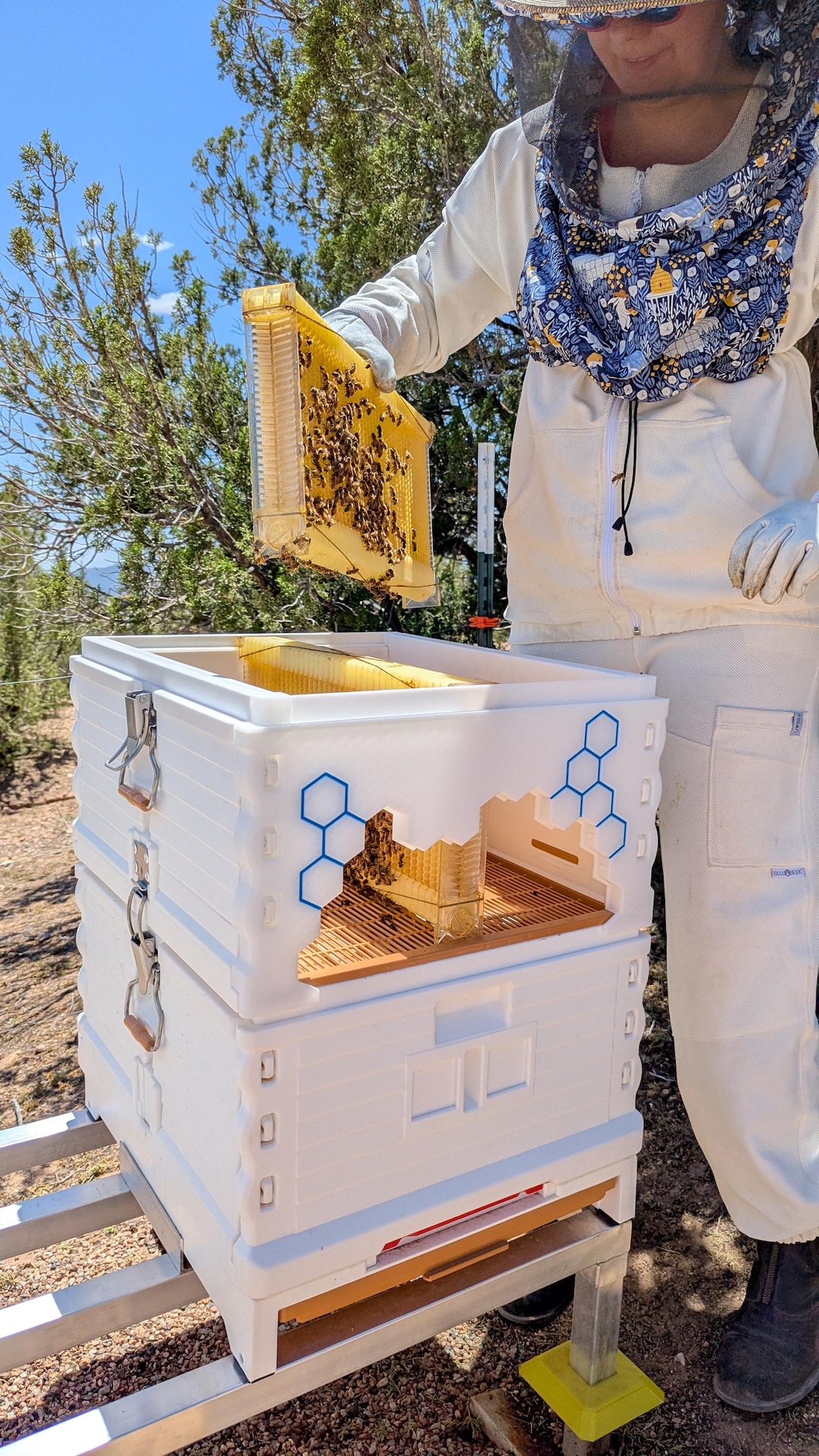 Apimaye Flow Hive Super Adapter Kit by Sage Design - Etsy