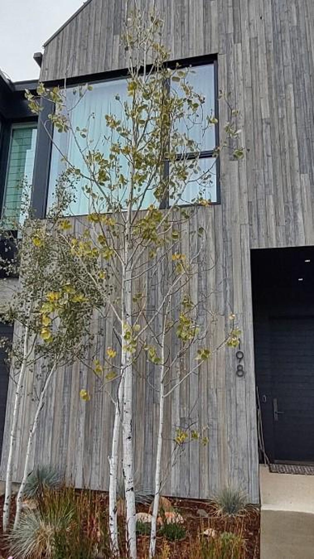 High Quality Grey Pine Siding Sample - Etsy