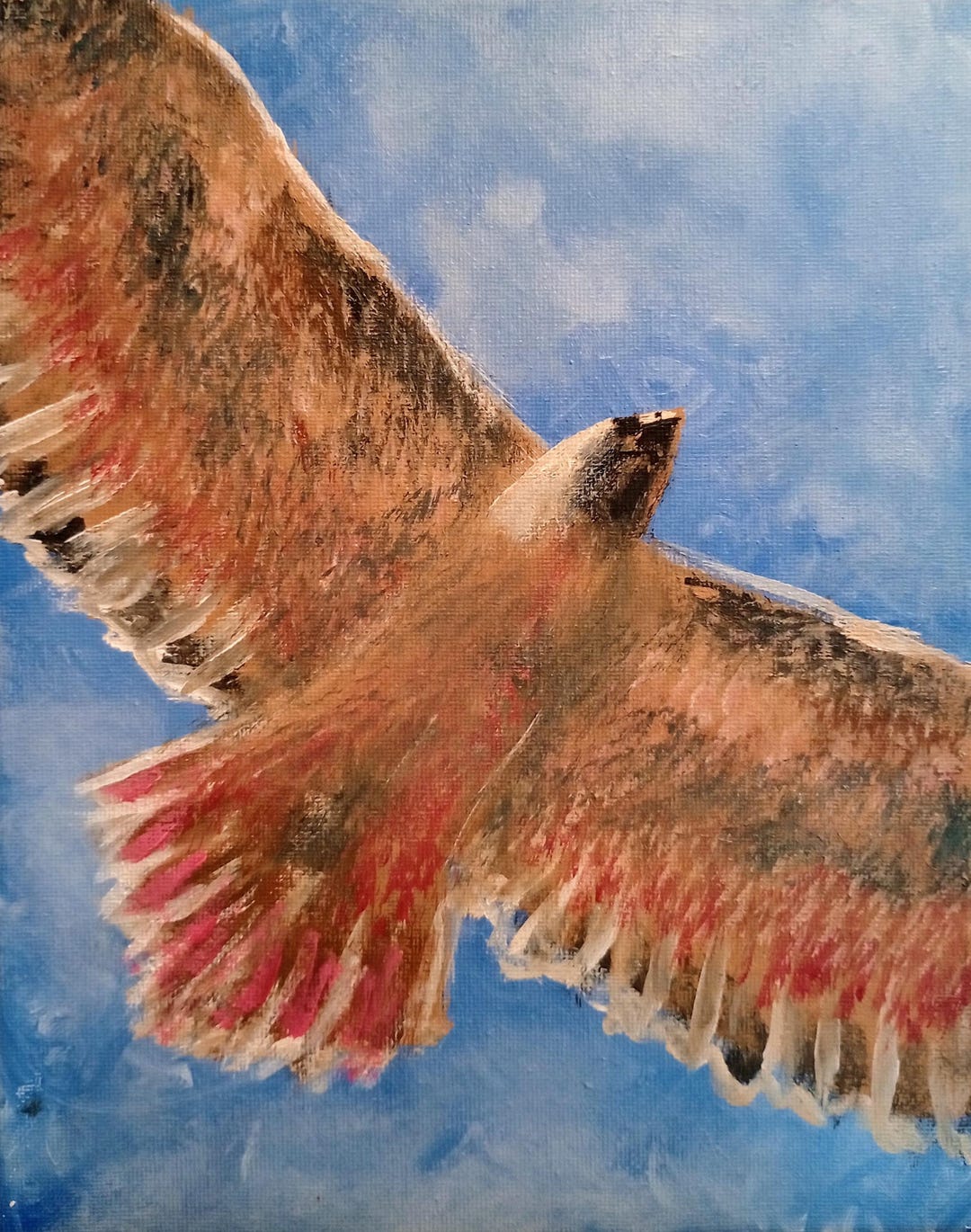 Red Tailed Hawk (print) - Etsy