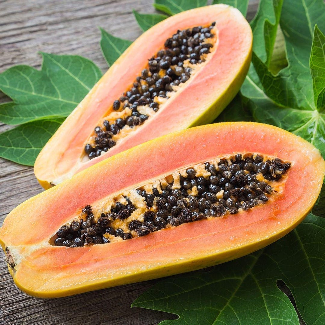 20 Caribbean Red Papaya Seeds, Haiti - Etsy