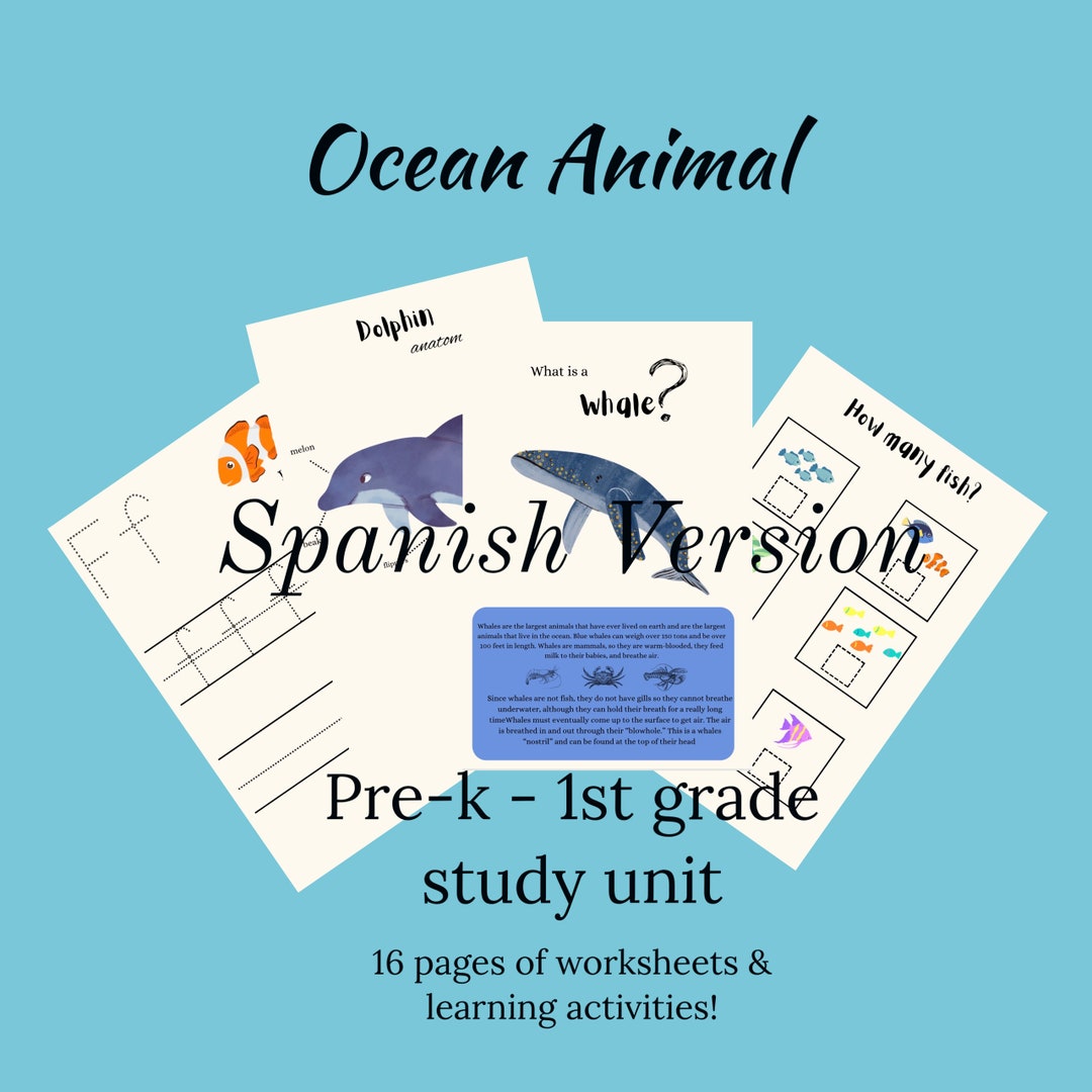 Pre-k 1st Grade Ocean Animals Study Unit SPANISH Version - Etsy