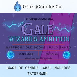 Gale wizard's Ambition Candle Gaming BG3 Candle Old Books and Saffron 9 ...